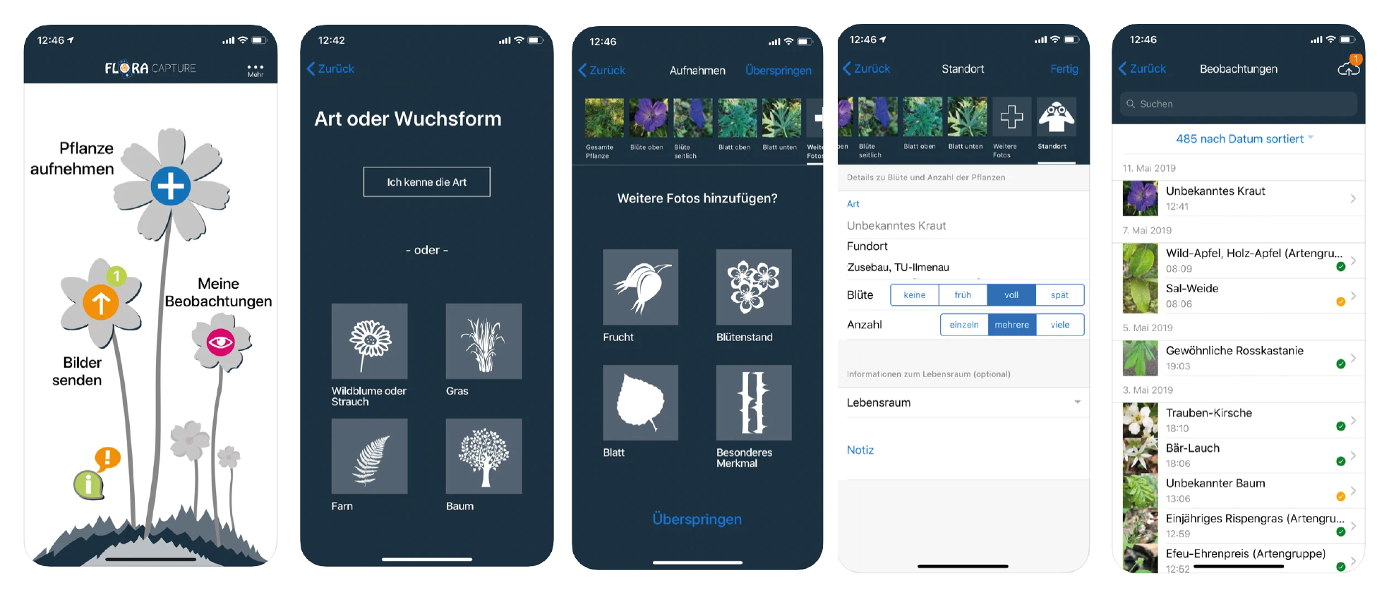 Die Flora Capture App – Flora Incognita | DE