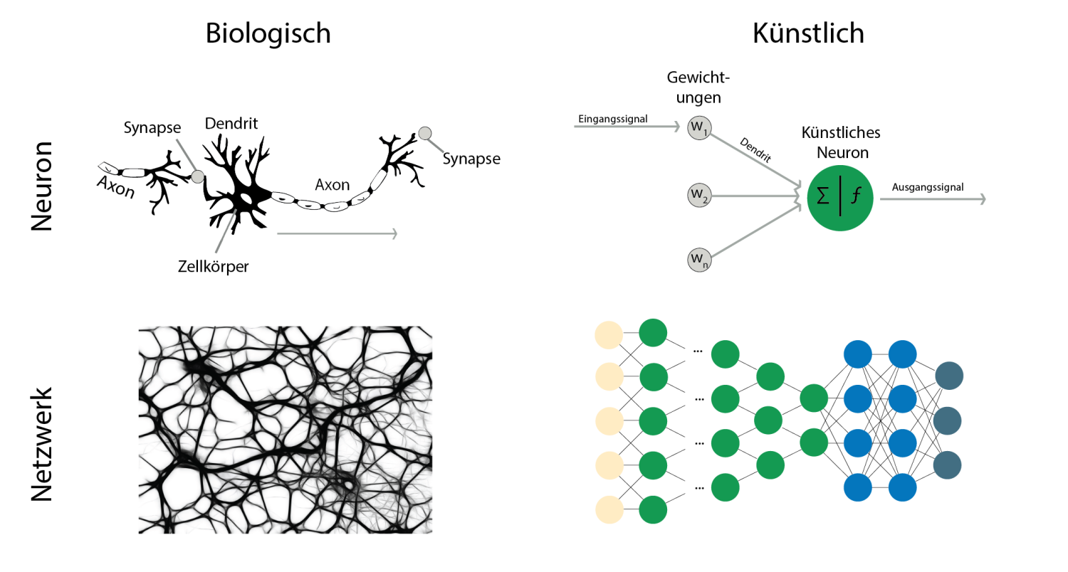 Flora Incognita – Entwicklung einer teilautomatischen ...
