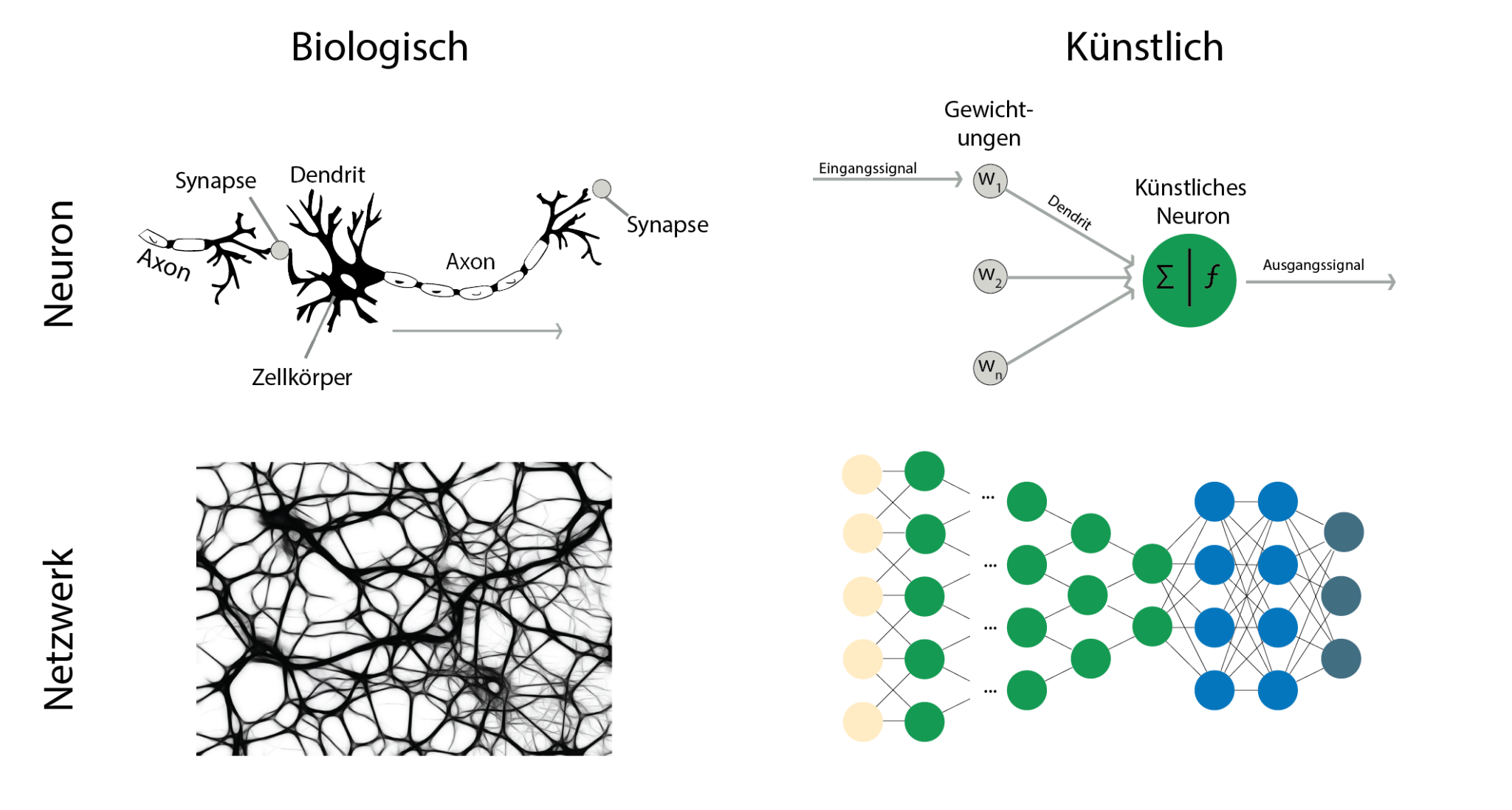 Flora Incognita – Entwicklung einer teilautomatischen ...