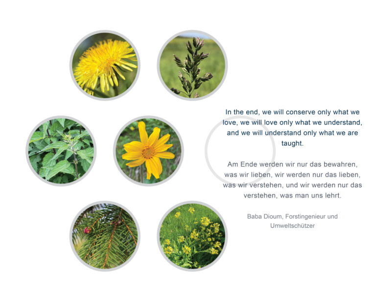 Flora Incognita – Entwicklung einer teilautomatischen ...